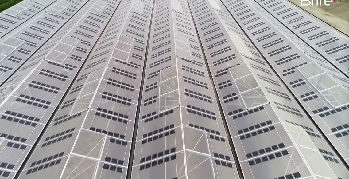 Paneles transparentes para granjas solares: Una gran innovación